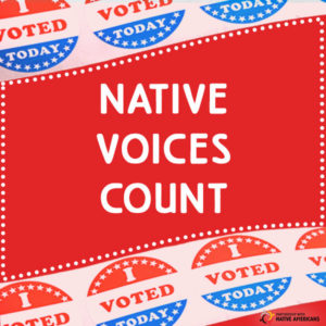 Celebrating the Native Voice in the 2020 Elections - PWNA